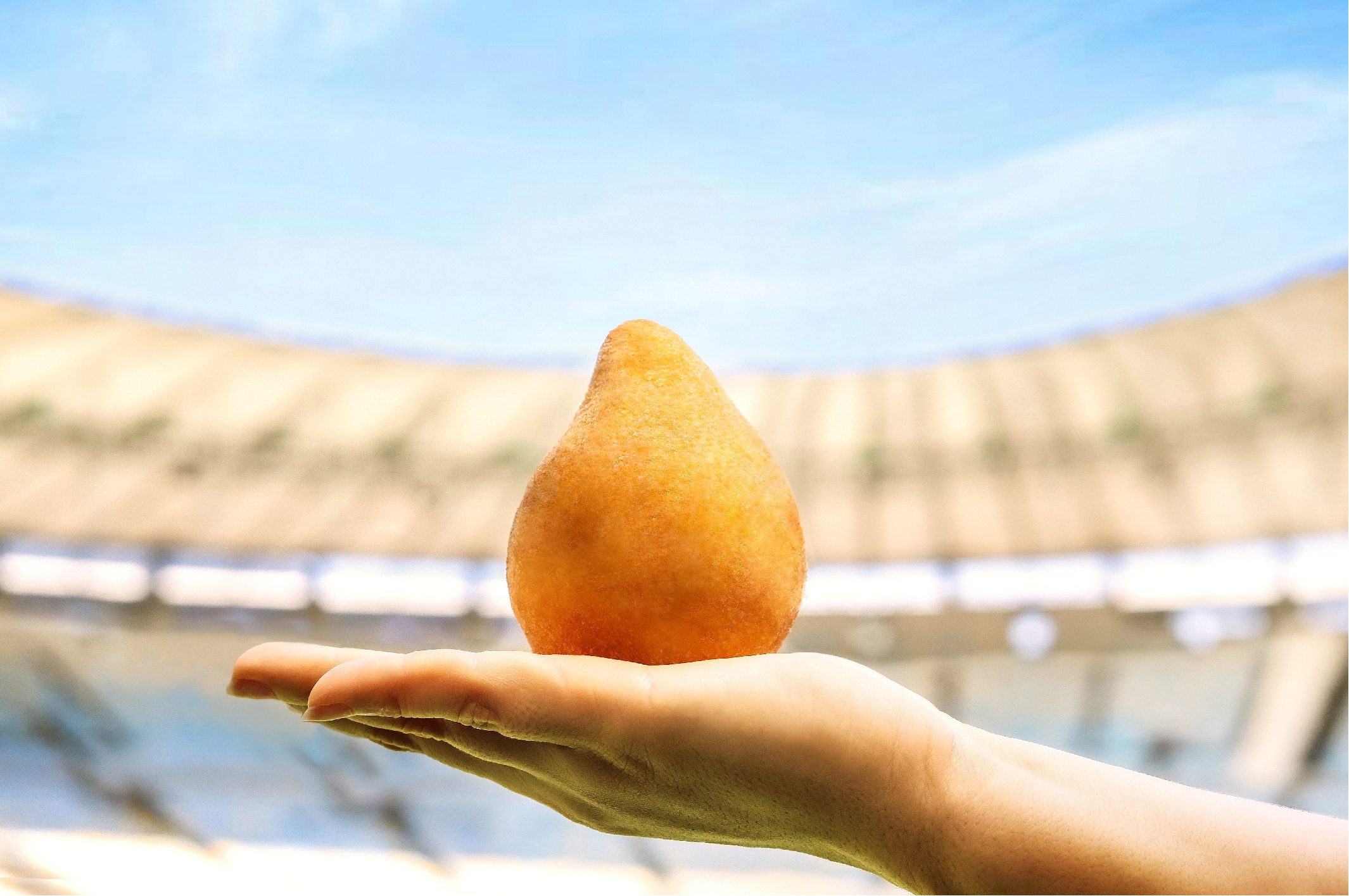 Lecadô celebra Dia da Coxinha com ação solidária no RJ - Informa Rio ...